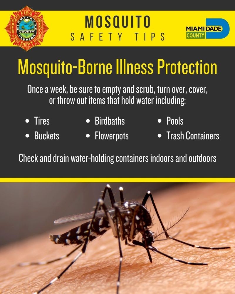 Safety Tips: Mosquito Bites and Bee Stings