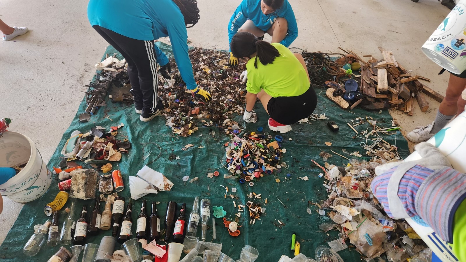 Help clean up marine debris and litter