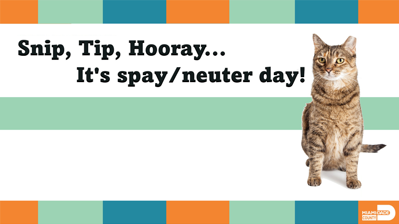 Take part in the spay/neuter event